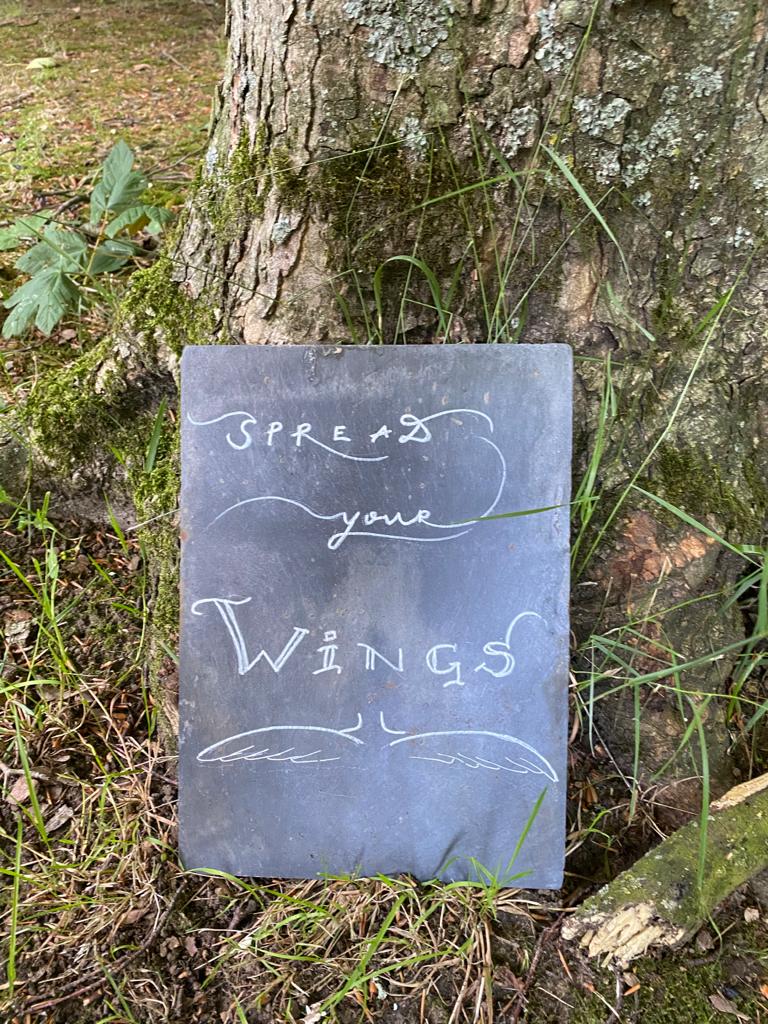 Zijn-beelden – Peter Callewaert